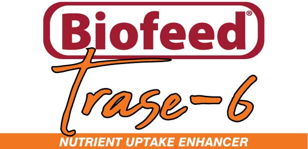 Professional Turf Products | Biofeed Solutions