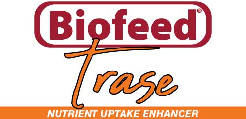 Biofeed Agriculture Products | Biofeed Solutions