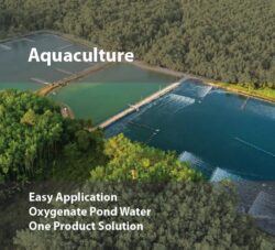 Biofeed Solutions | Join the Biofeed Liquid Fertilizer Revolution